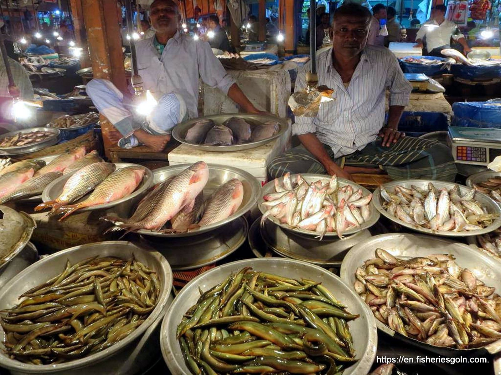 Fish Market in Sylhet - Fisheries Gurukul, GOLN | English